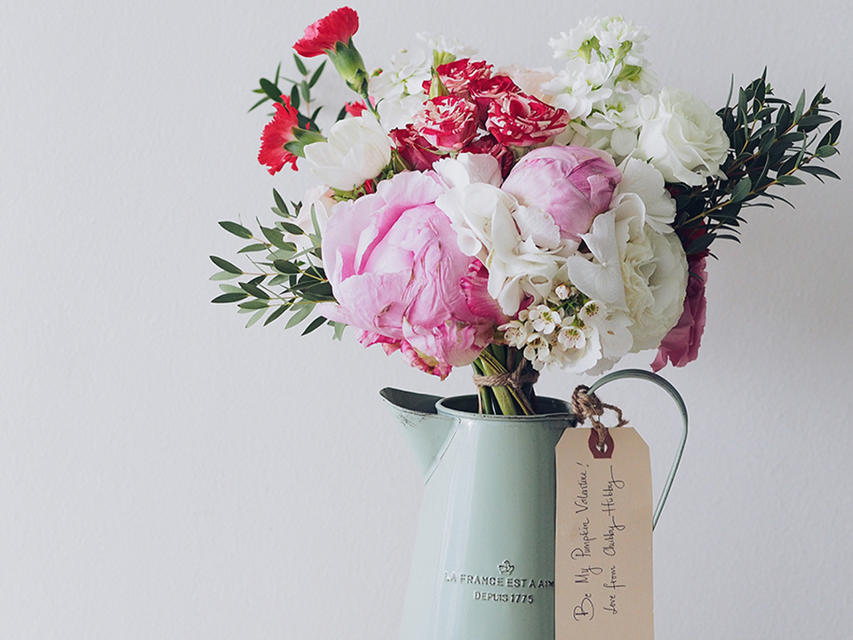 Berkeley Mall | Belk, Sears and JCPenney | Goldsboro, NC