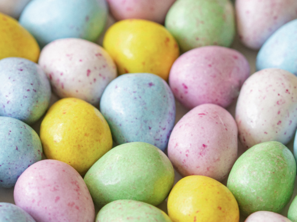 Berkeley Mall | Belk and JCPenney | Goldsboro, NC